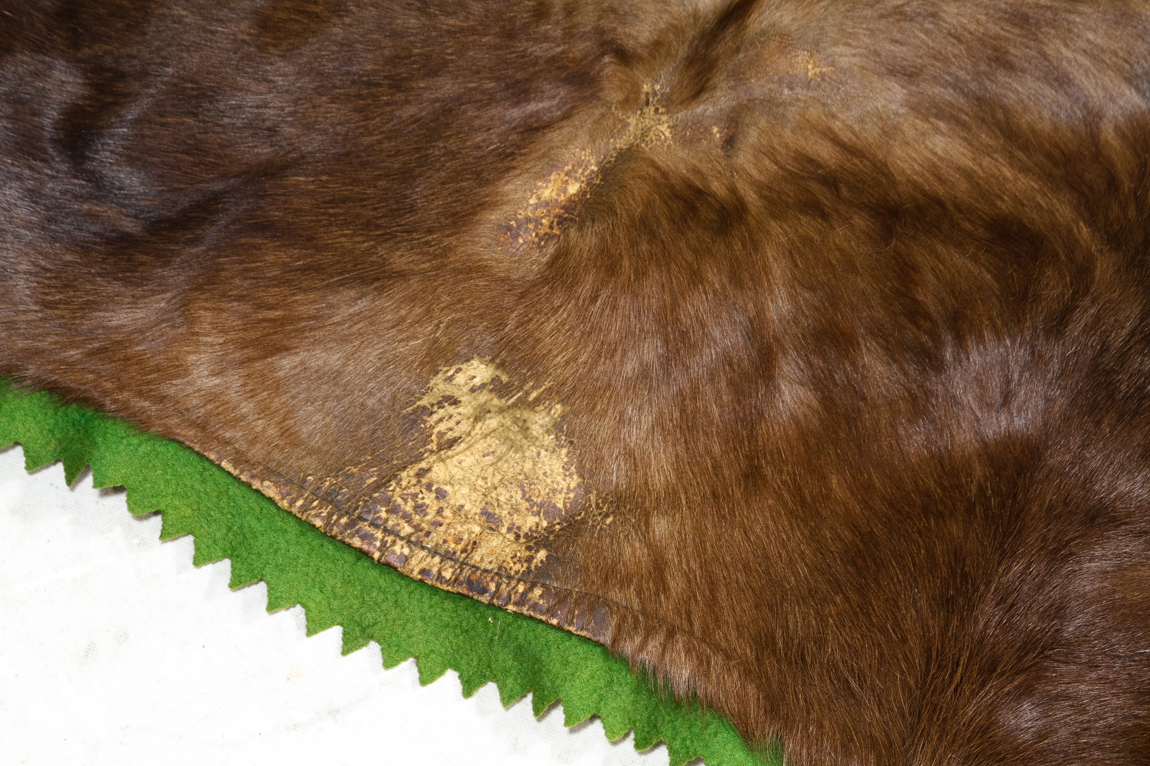 Bear Skin Taxidermy Rugs