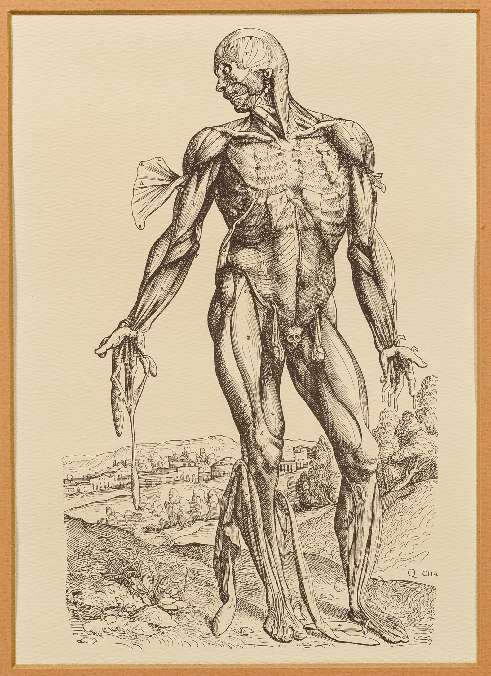 Anatomy Etching Assortment - Jul 21, 2019 | Leonard Auction, Inc. in IL